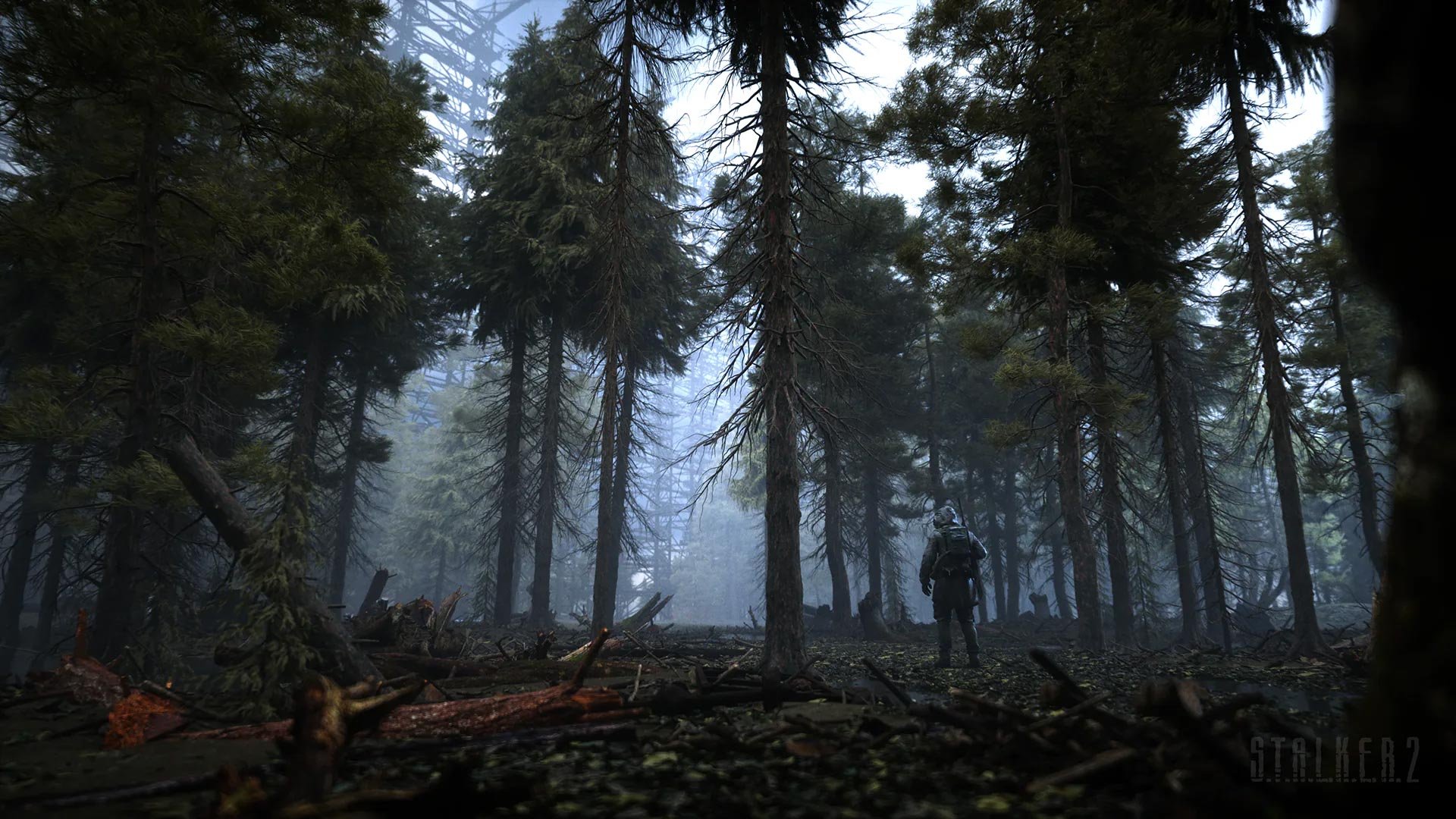 The Game ｜ S.T.A.L.K.E.R. 2: Heart of Chornobyl — ストーリー